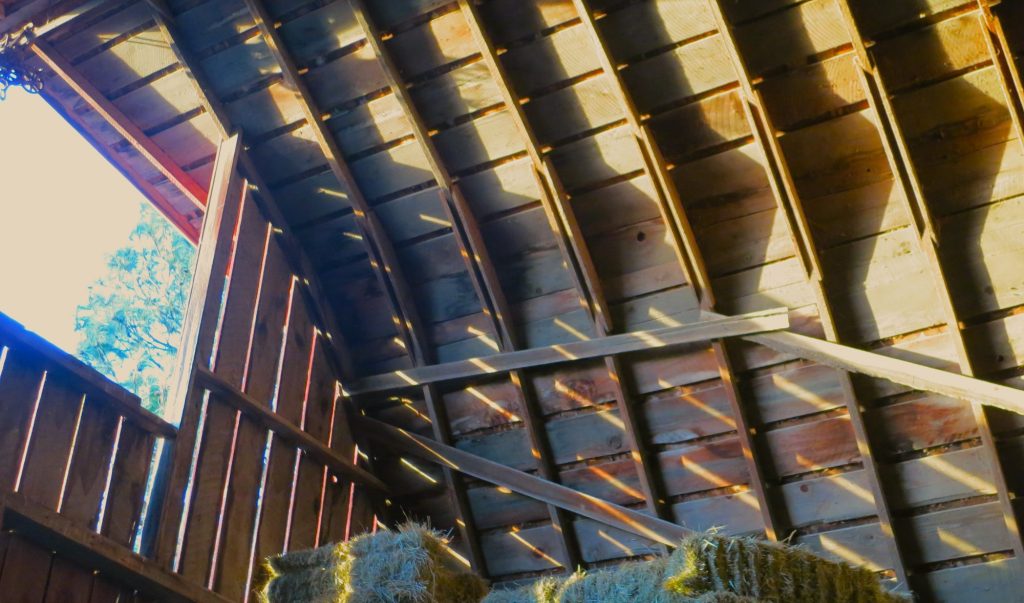 Barnstorming – Barnstorming: Seeking Sanctuary in the Seasons of a ...