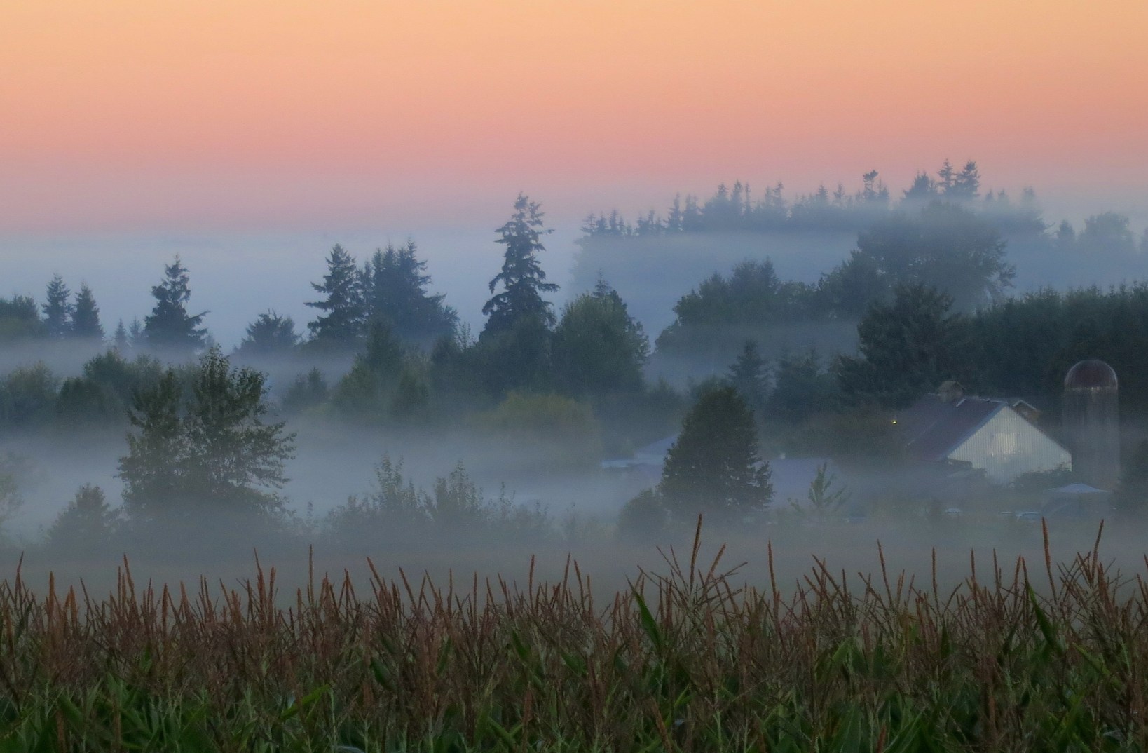 Barnstorming – Barnstorming: Seeking Sanctuary in the Seasons of a ...