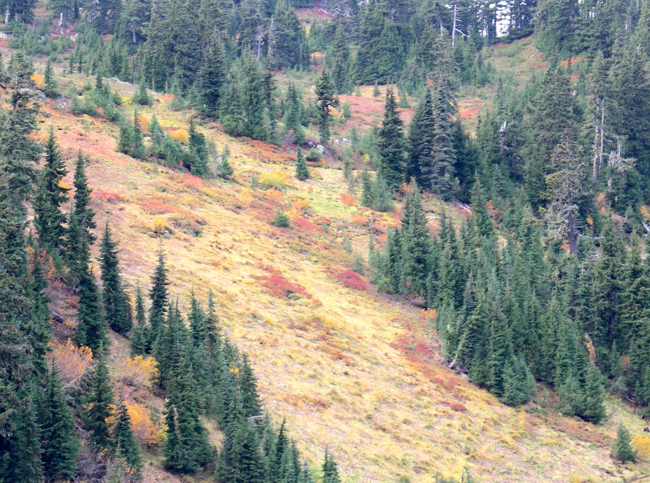 The Light of Old October – Barnstorming