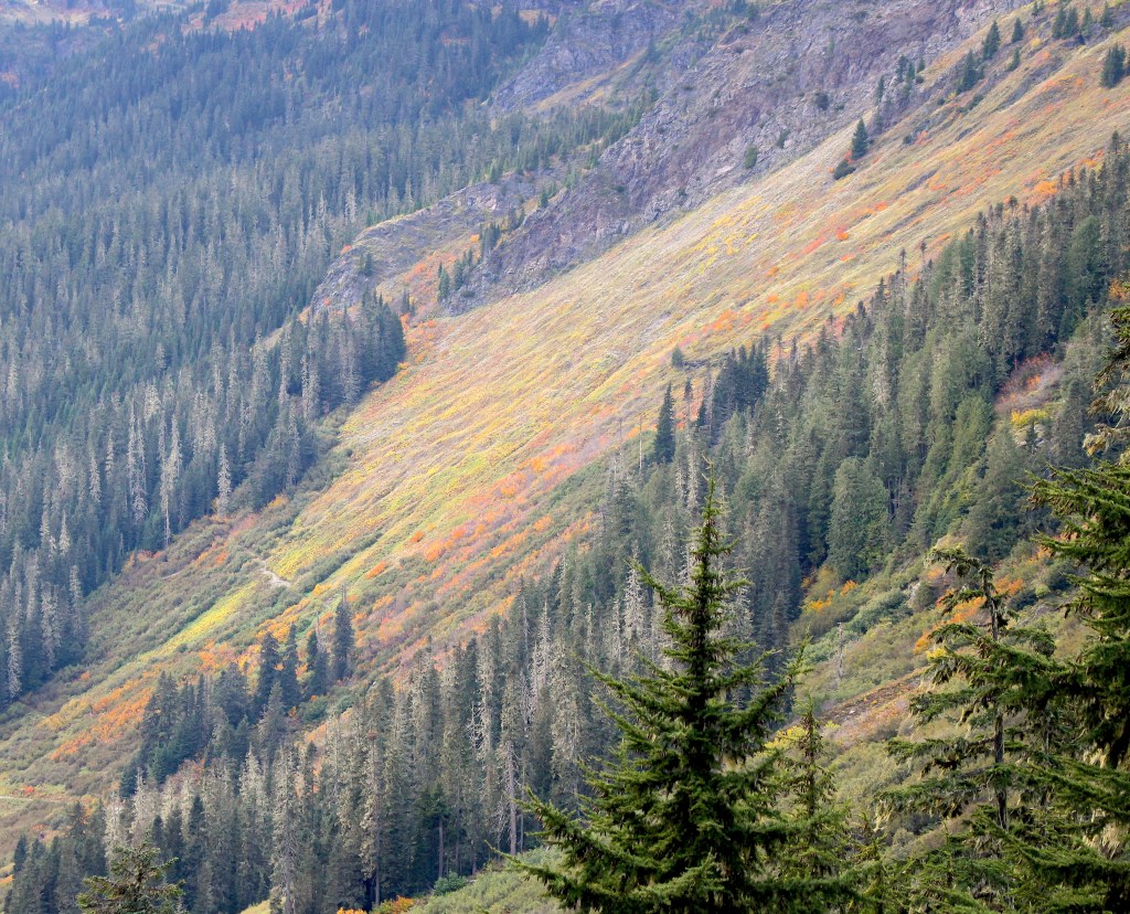 The Light of Old October – Barnstorming