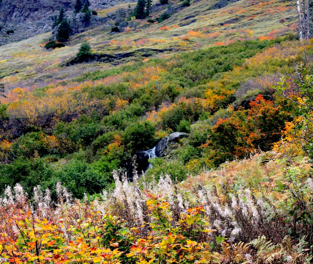 The Light of Old October – Barnstorming