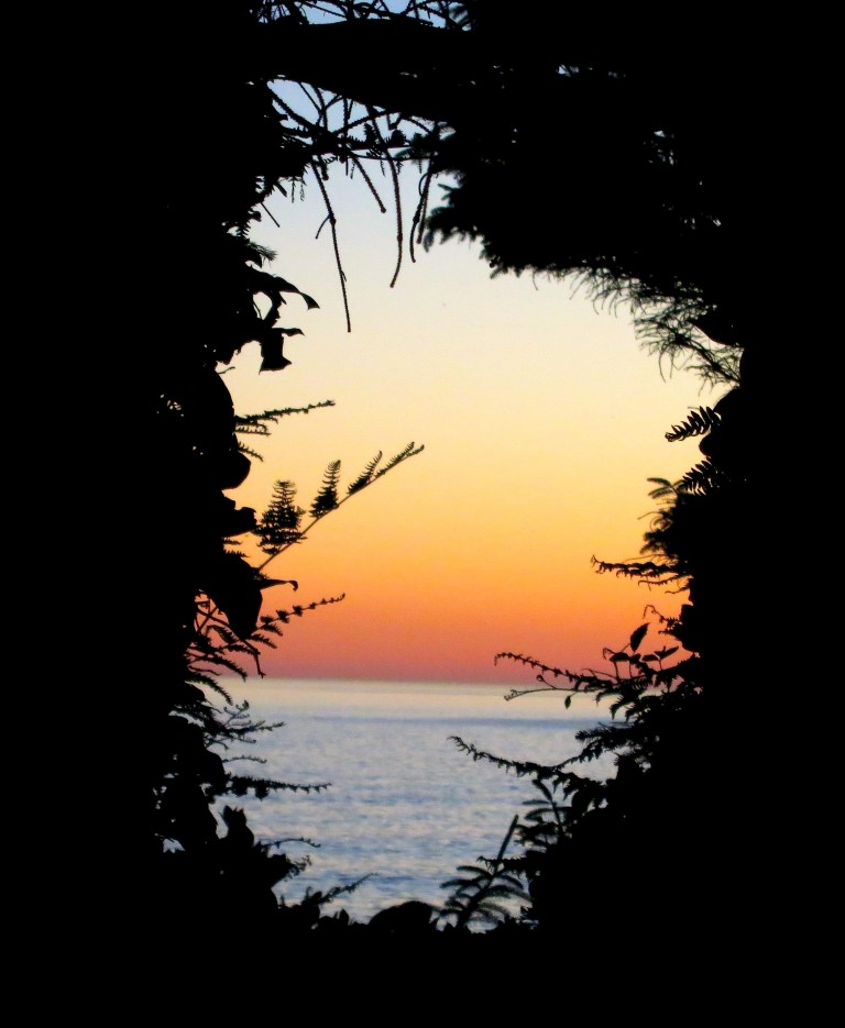 Barnstorming – Barnstorming: Seeking Sanctuary in the Seasons of a ...