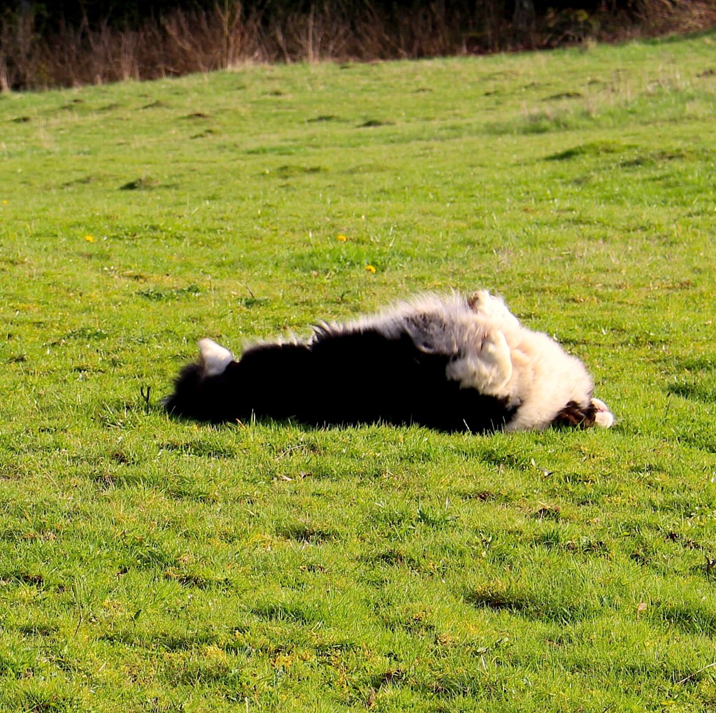 Barnstorming – Barnstorming: Seeking Sanctuary in the Seasons of a ...