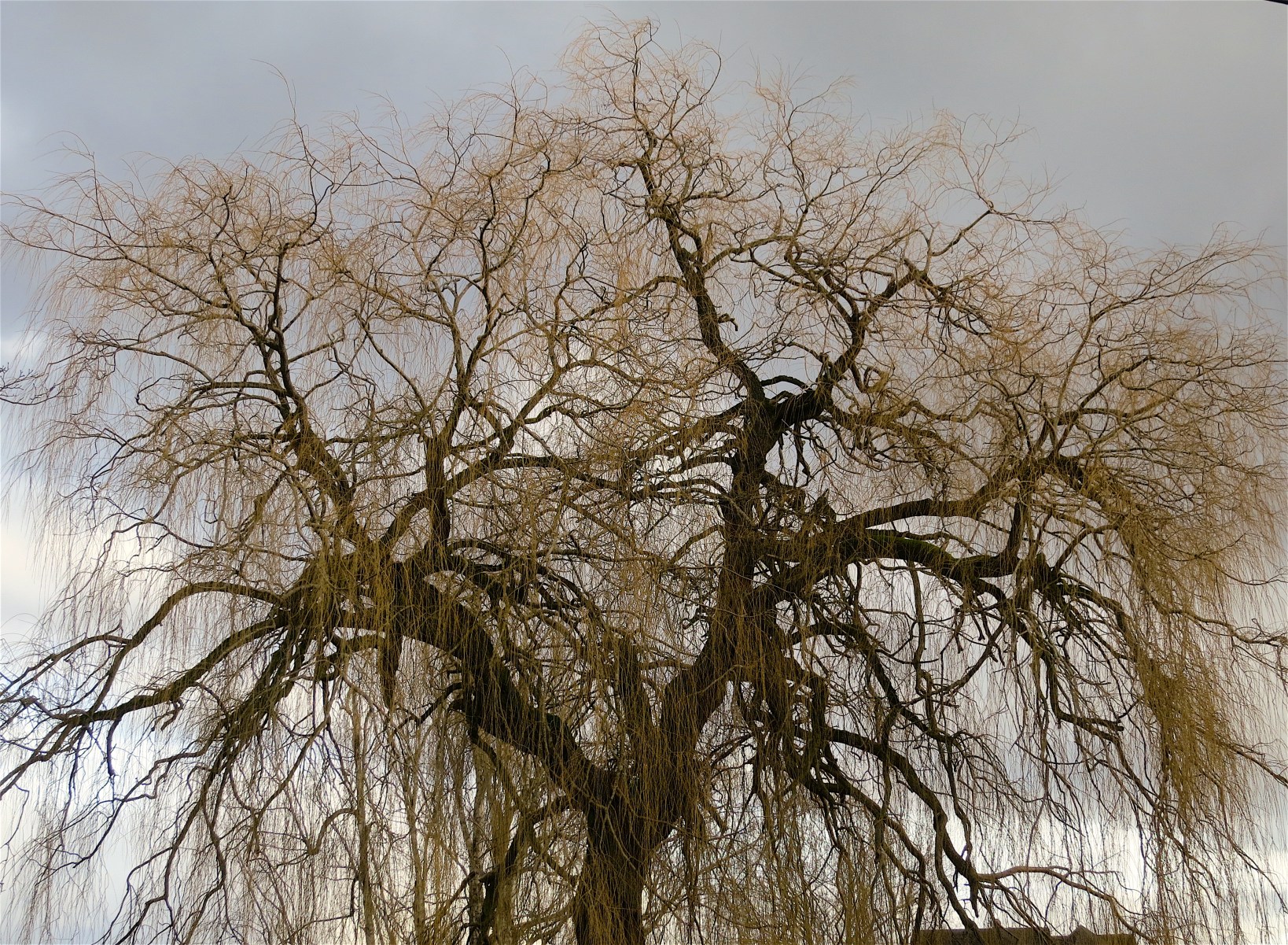 Barnstorming – Barnstorming: Seeking Sanctuary in the Seasons of a ...