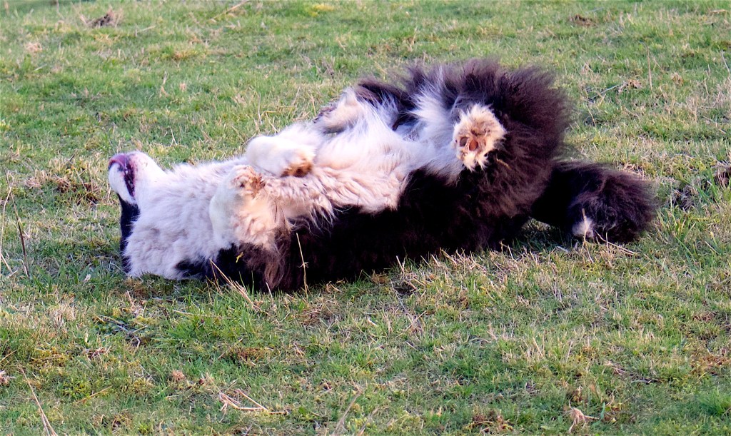 Barnstorming – Barnstorming: Seeking Sanctuary in the Seasons of a ...