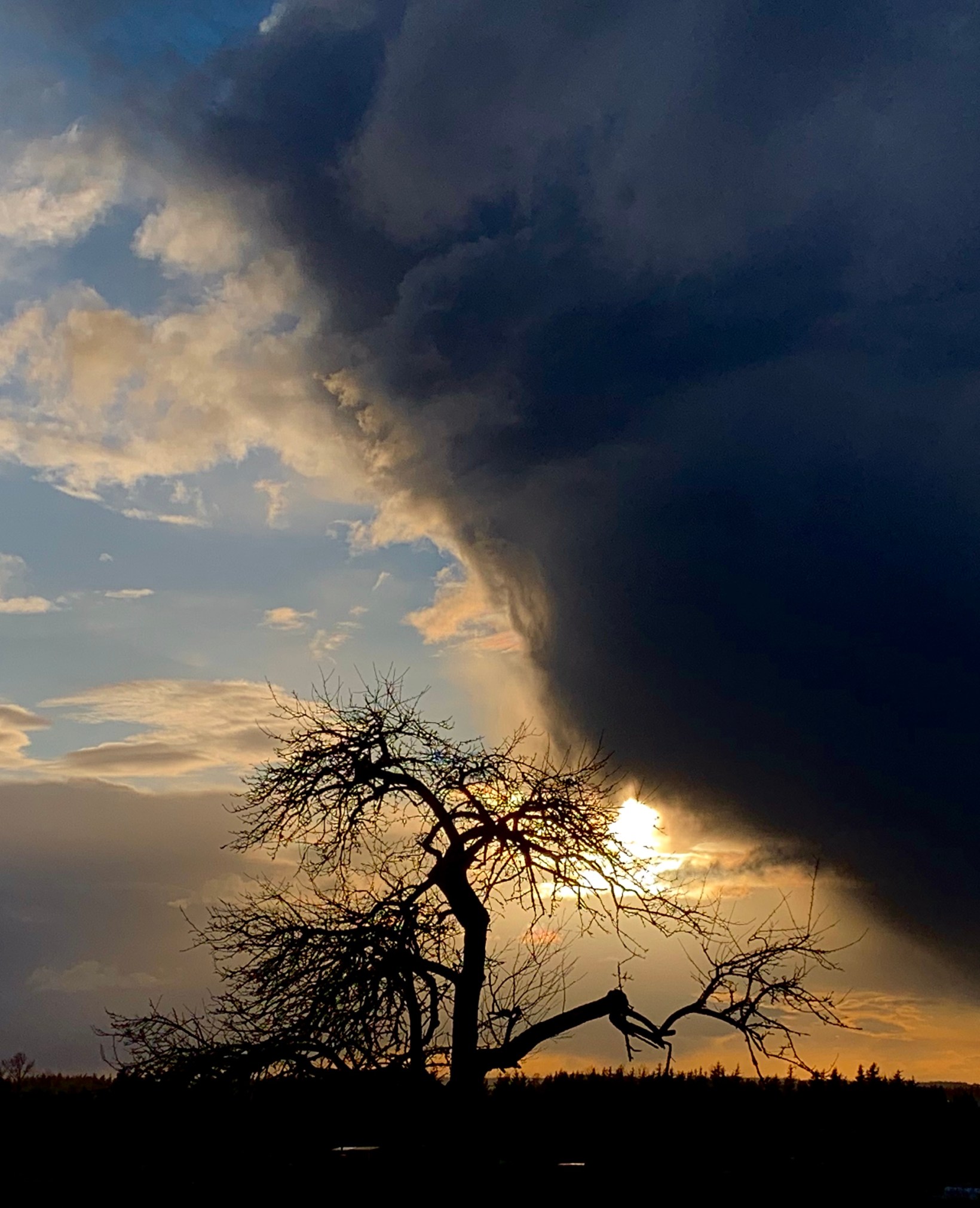 Barnstorming – Barnstorming: Seeking Sanctuary in the Seasons of a ...