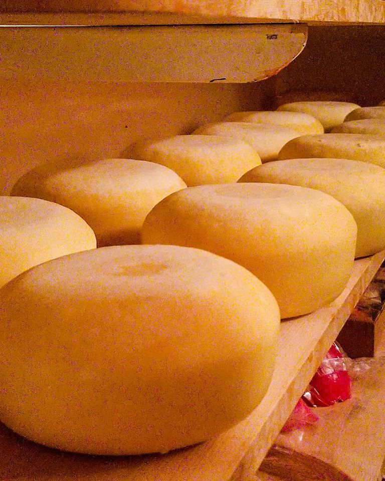 A Poem About Cheese – Barnstorming