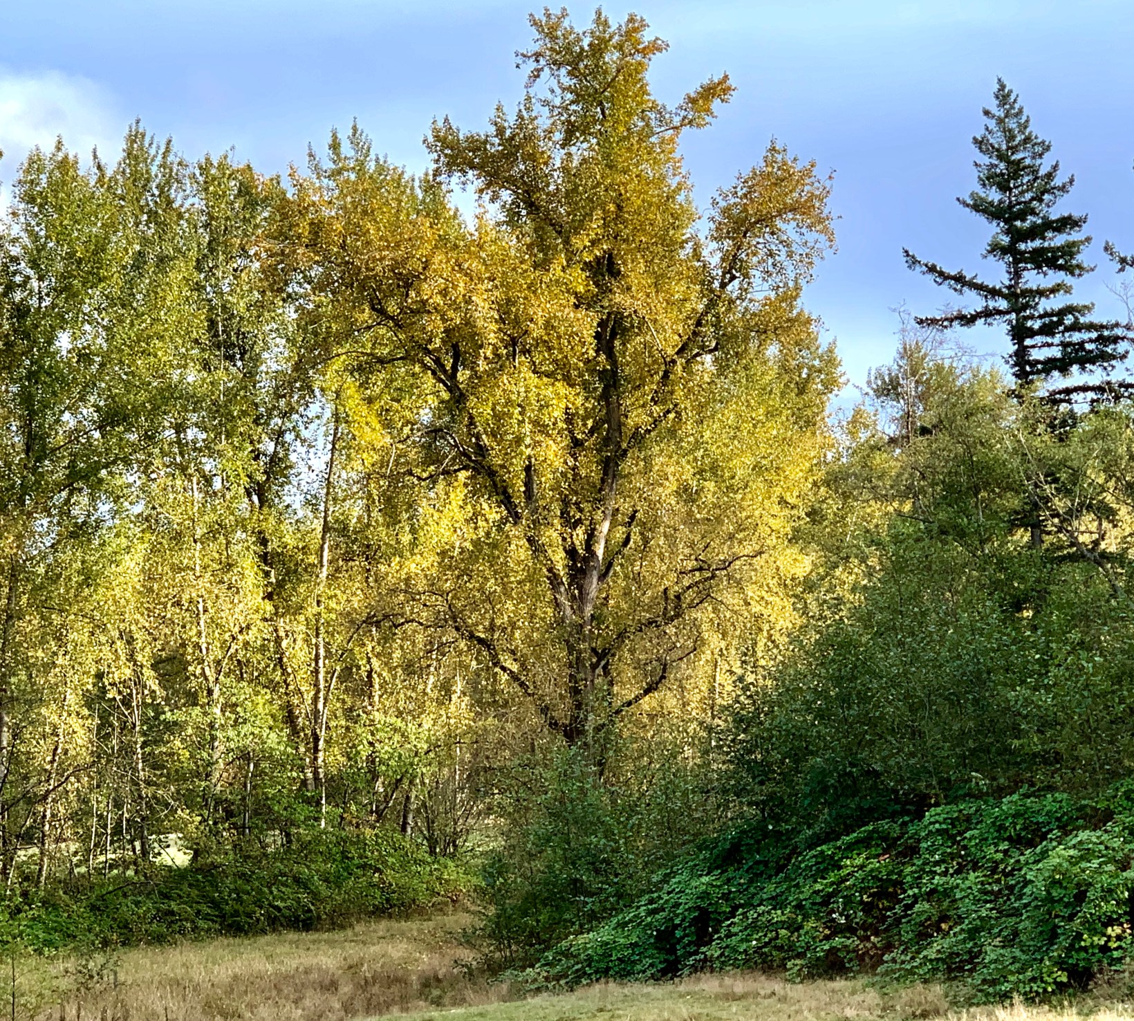 Barnstorming – Barnstorming: Seeking Sanctuary in the Seasons of a ...