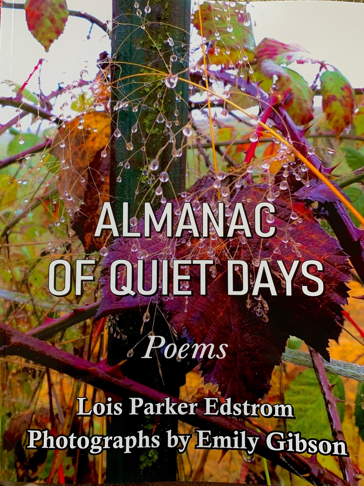 Barnstorming – Barnstorming: Seeking Sanctuary in the Seasons of a ...