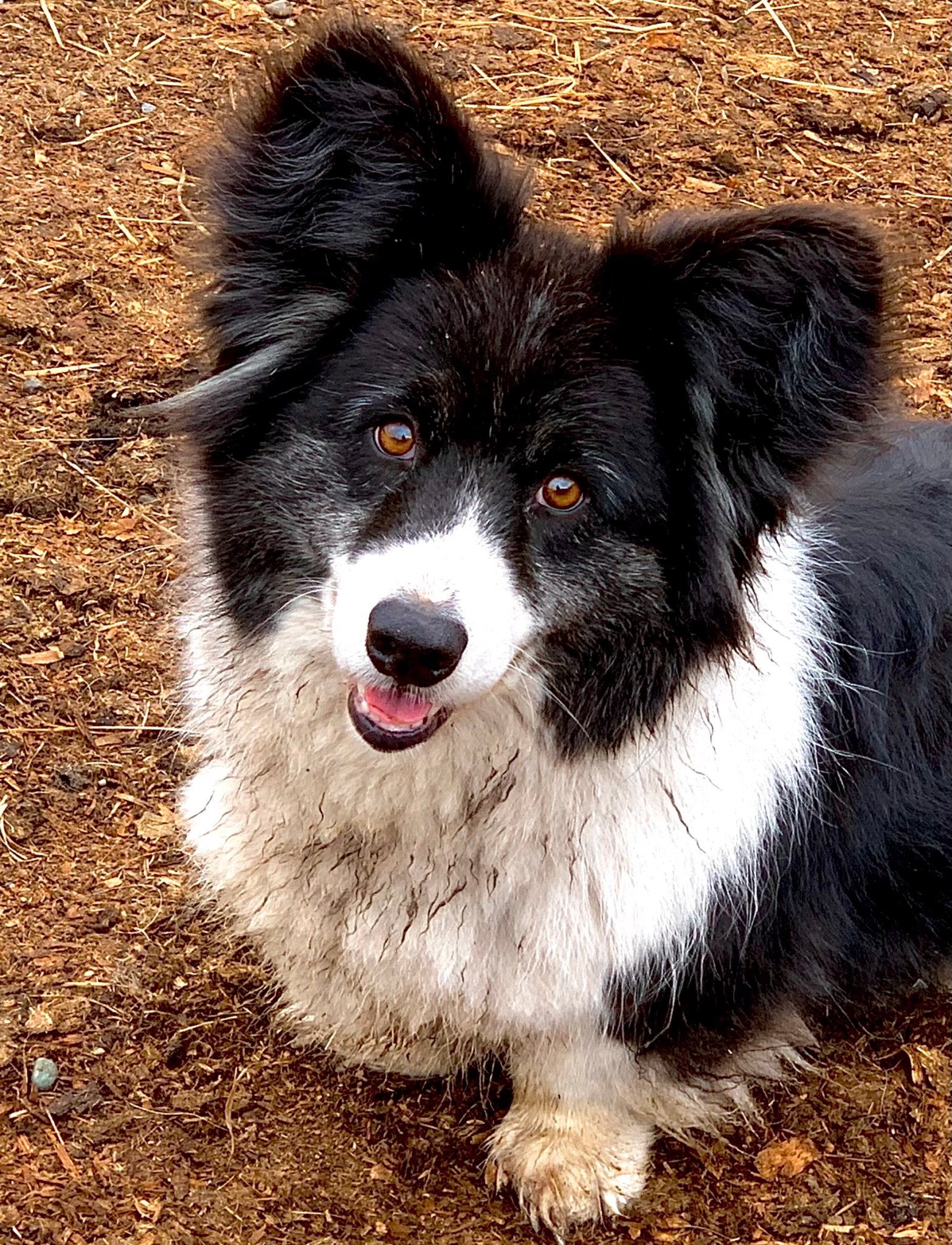 Barnstorming – Barnstorming: Seeking Sanctuary in the Seasons of a ...