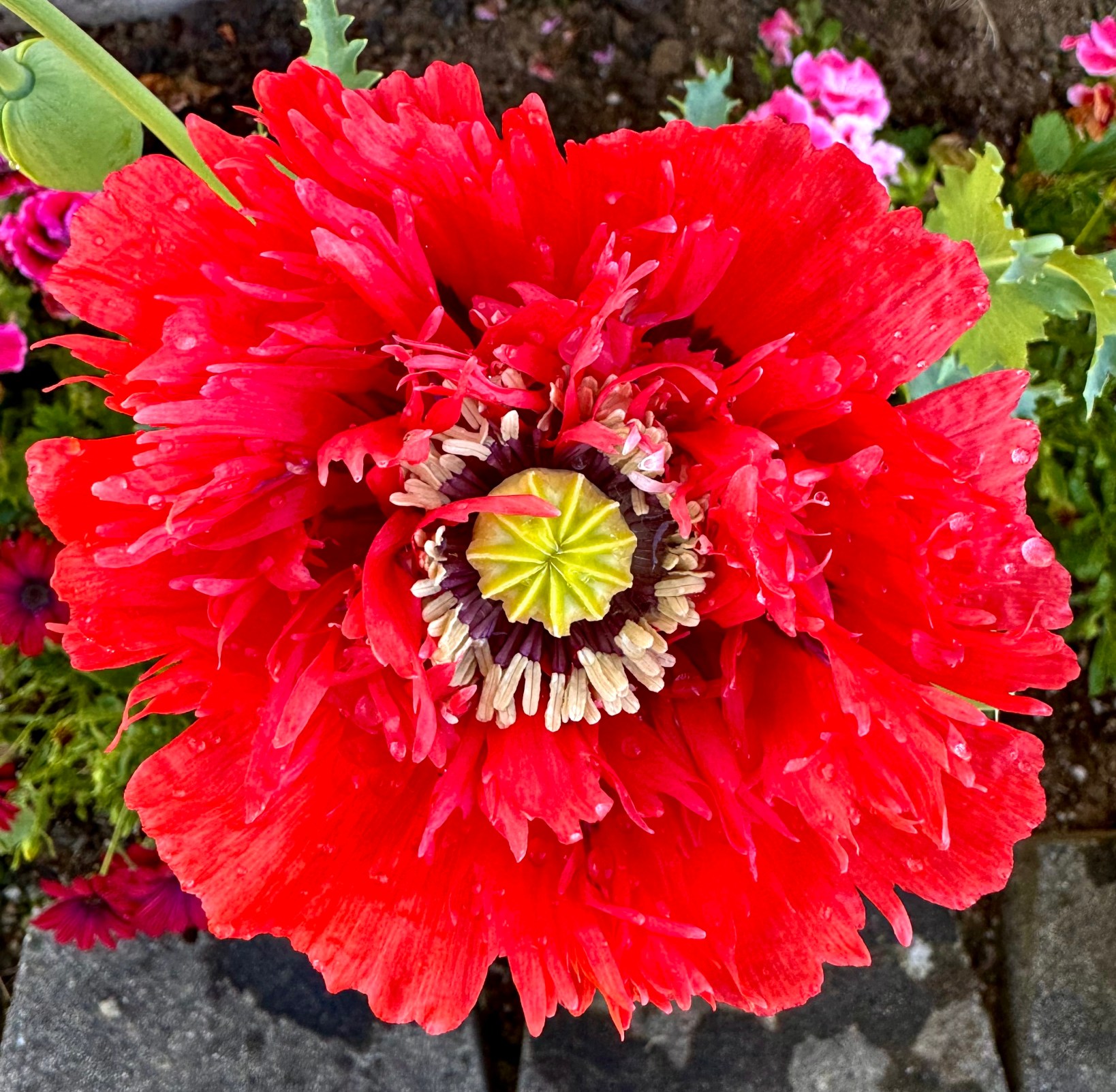 Barnstorming – Barnstorming: Seeking Sanctuary in the Seasons of a ...